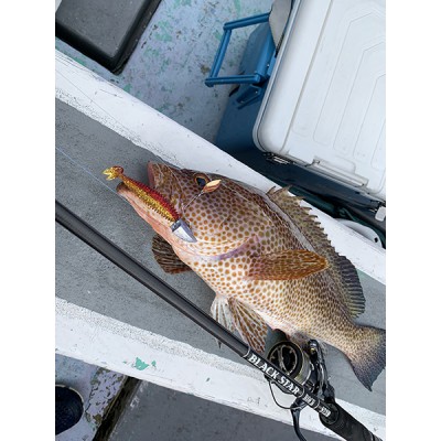 Спиннинг Xesta Black Star Rock Versatile Multi Rocker S83MH купить | JDM.COM.UA